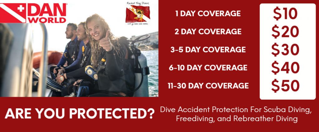 Pricing - Scuba Diving Flamingo, Costa Rica | Diving The Catalina Islands